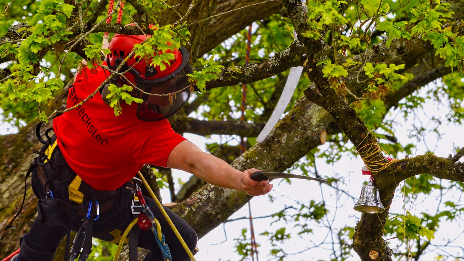 Arboricultural Association - The ARB Show at APF 2022