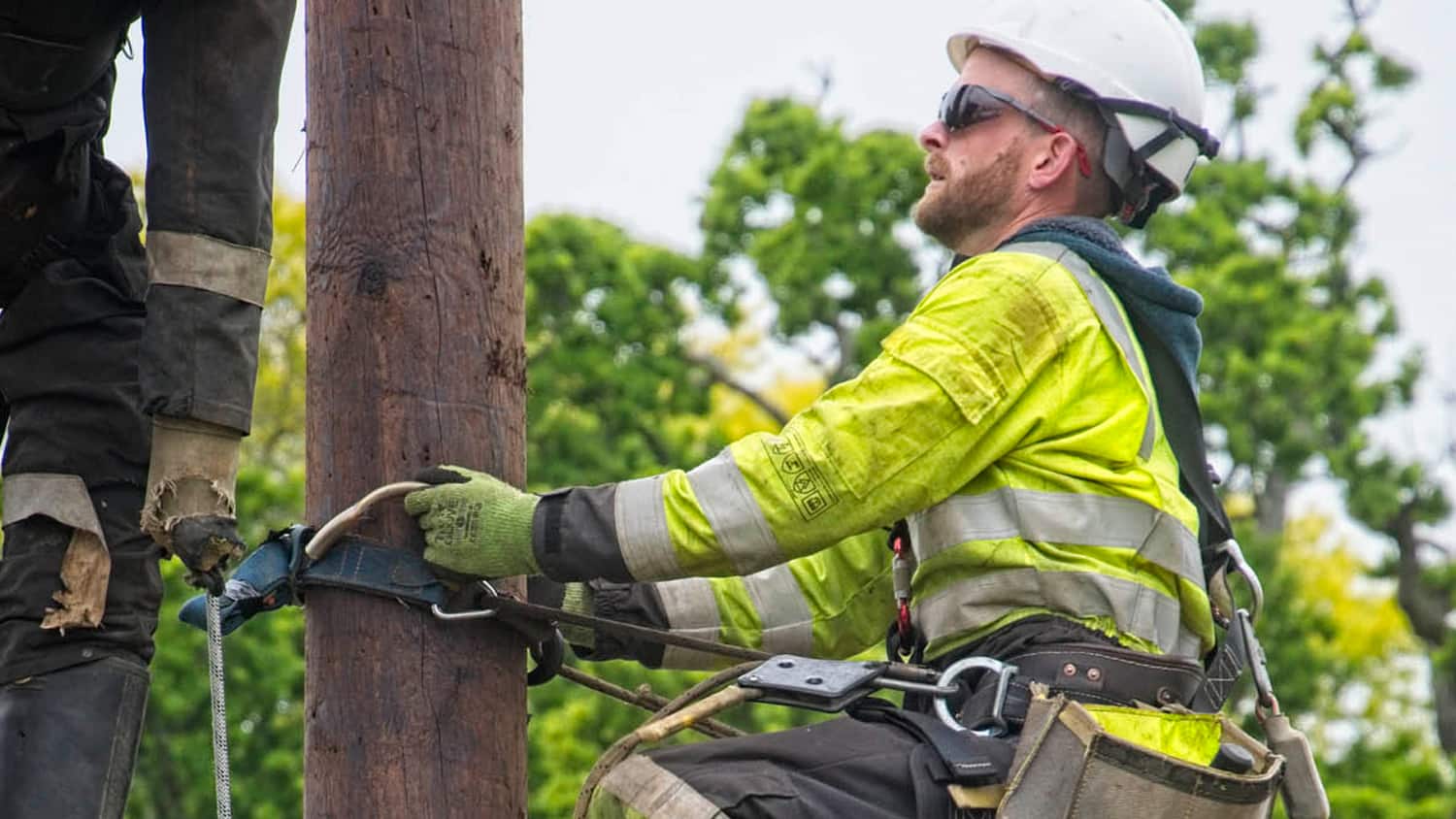 Arboricultural Association - The ARB Show at APF 2022