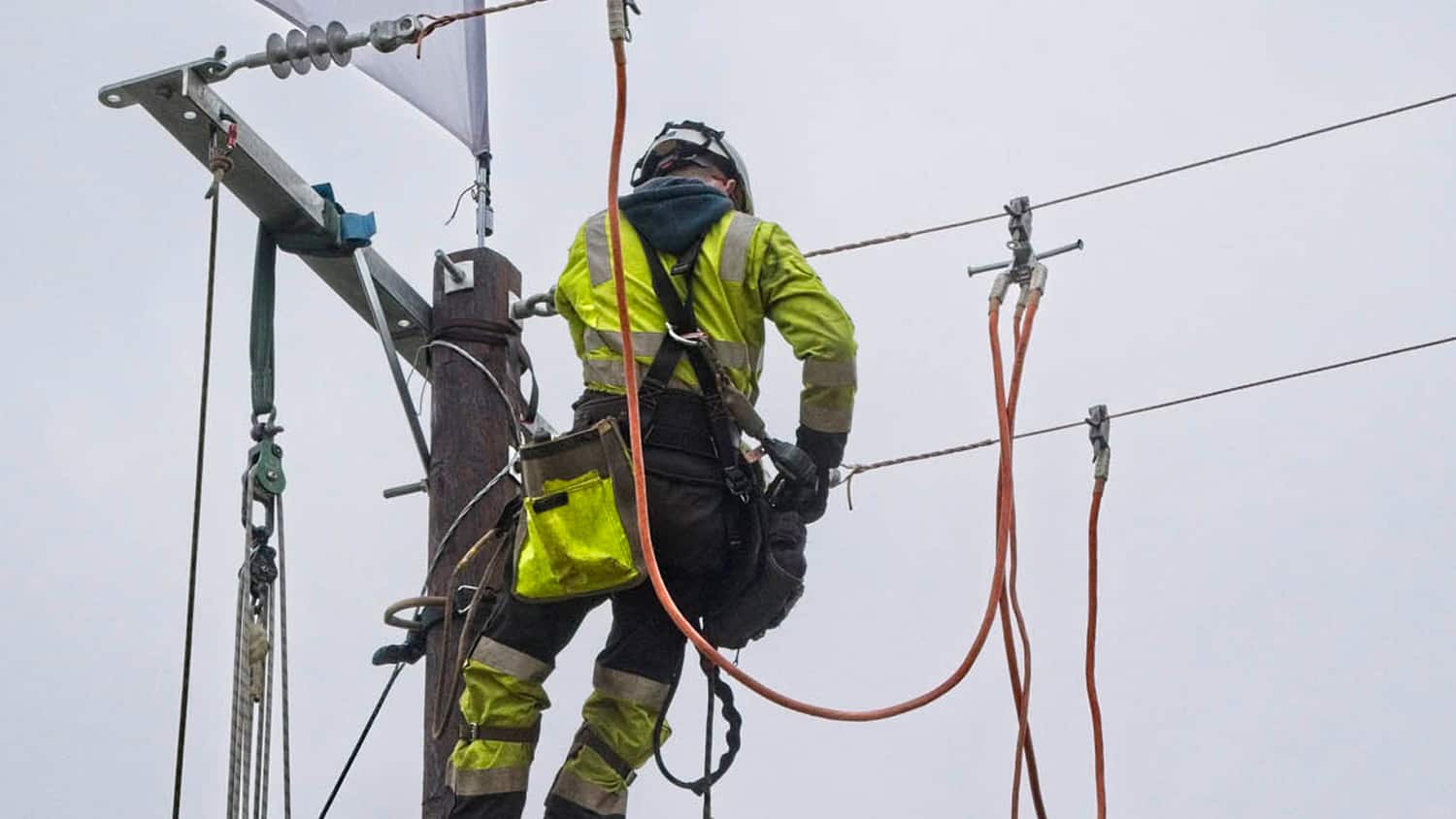 Arboricultural Association - The ARB Show at APF 2022