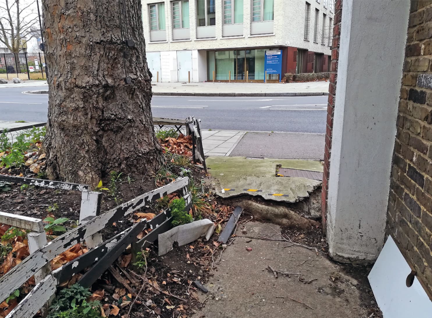 Arboricultural Association - Trees and development: some common design ...