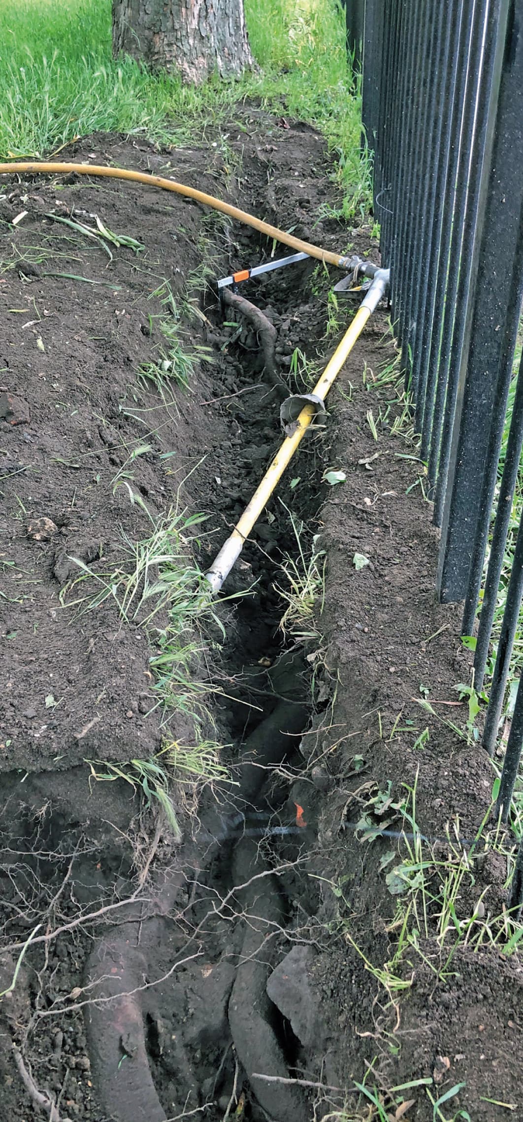 Arboricultural Association - Trees and development: some common design ...