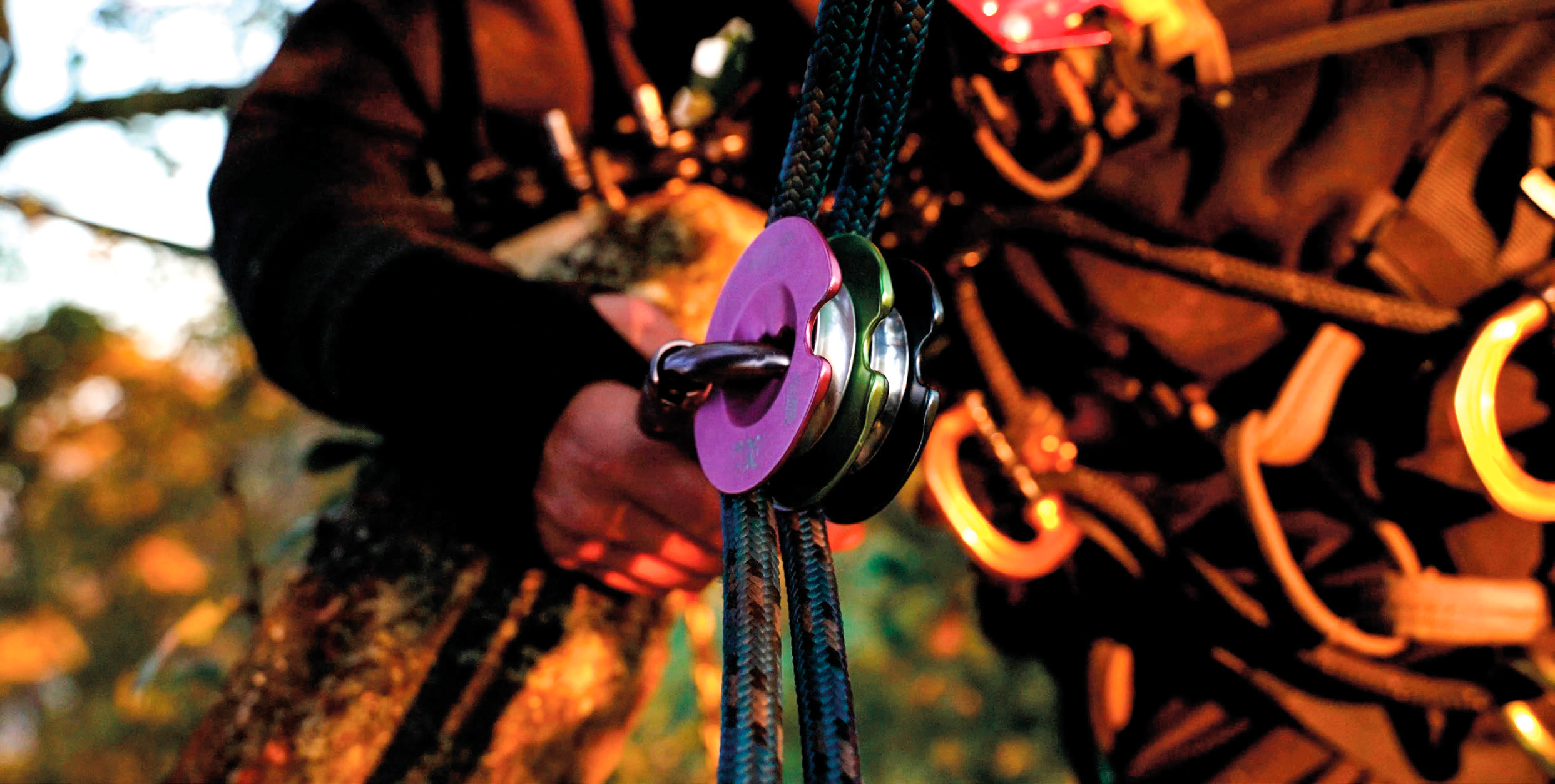 Arboricultural Association - Contractor Focus: New Equipment