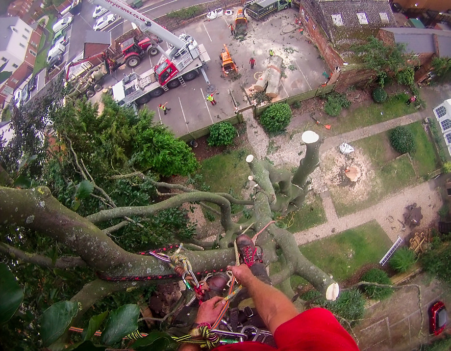Arboricultural Association - Boward Tree Surgery celebrates 40 years as ...