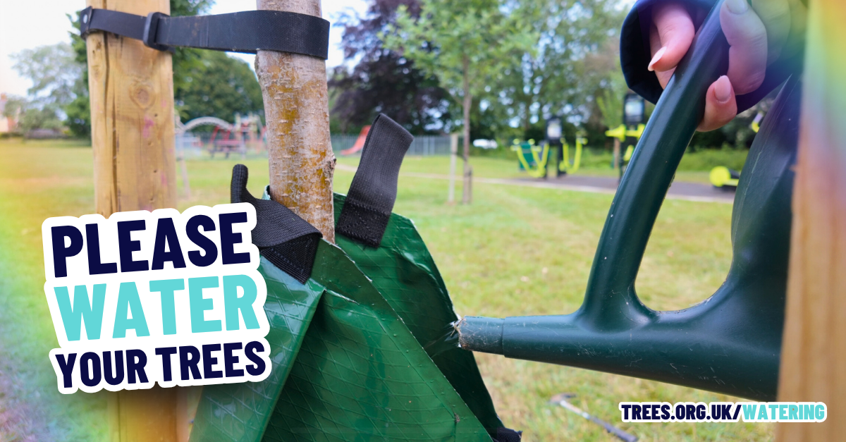 Arboricultural Association - Watering Young Trees
