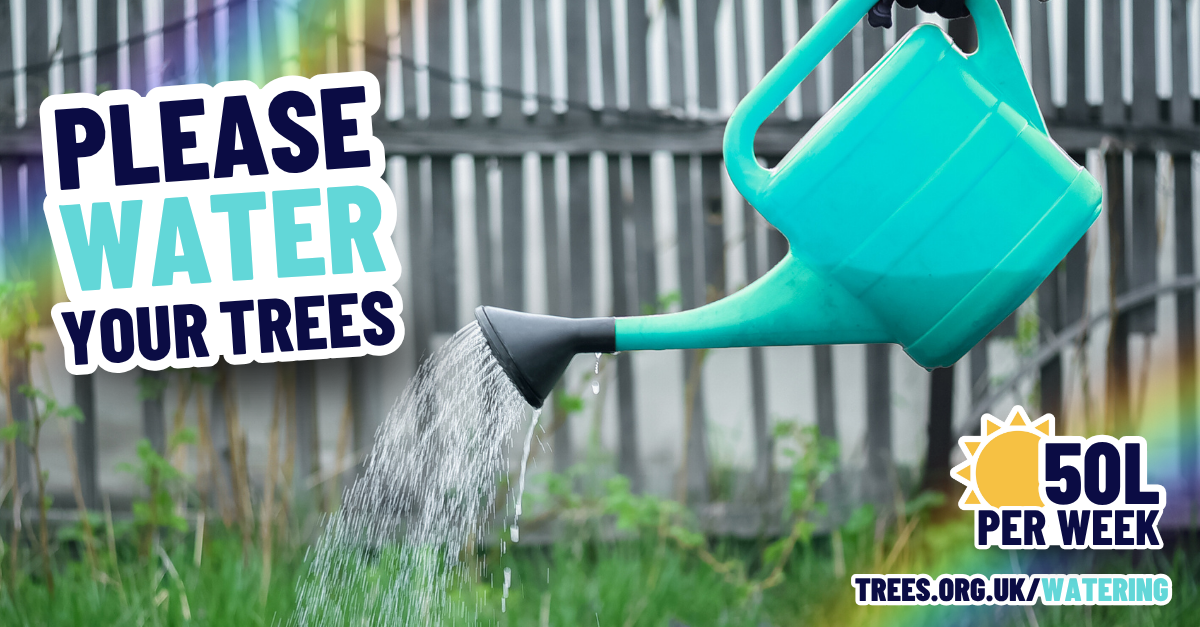 Arboricultural Association - Watering Young Trees