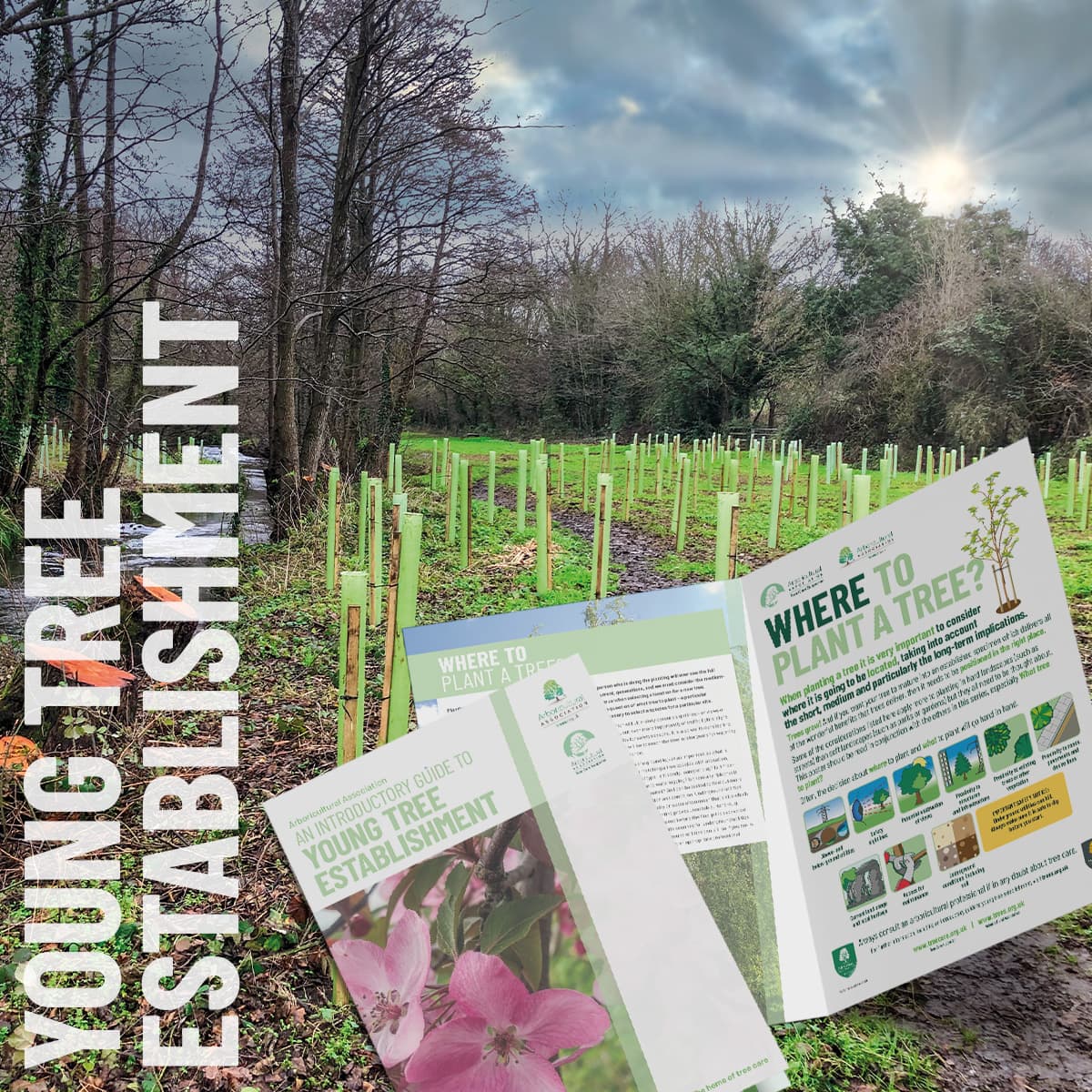 Arboricultural Association - Watering Young Trees