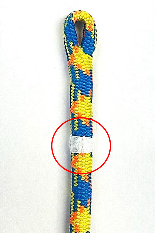 Arboricultural Association - Insection Notice: Drenaline spLIFE ...