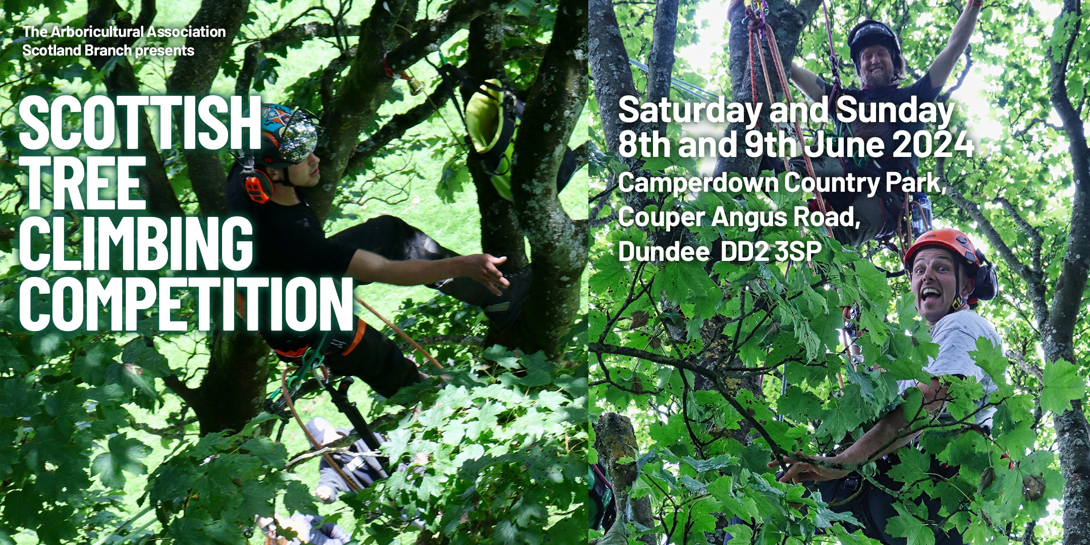 Arboricultural Association - Scottish Tree Climbing Competition