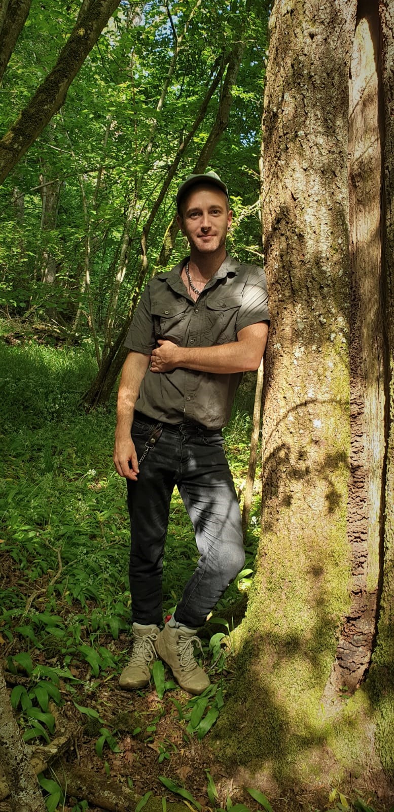 Arboricultural Association - Throwing new light on oak heart-rot