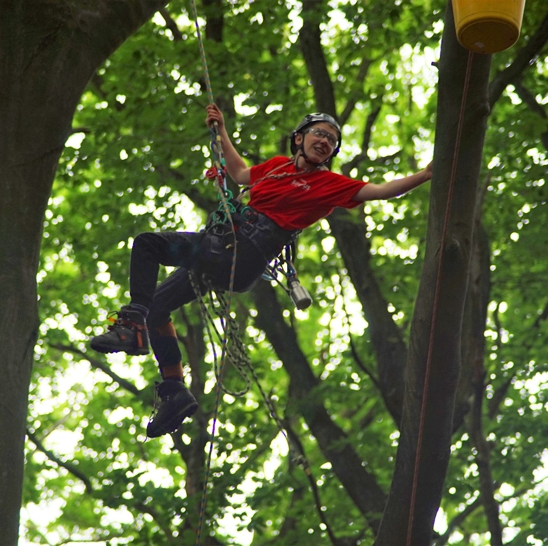 Arboricultural Association - Folk Forest Festival - Sheffield Tree Fayre