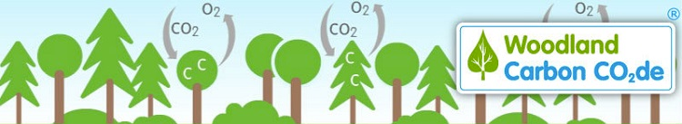 Arboricultural Association - Government launches £50 million scheme to boost tree-planting and ...