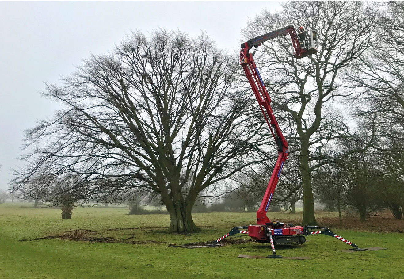 Arboricultural Association - Thoughts about retrenchement pruning