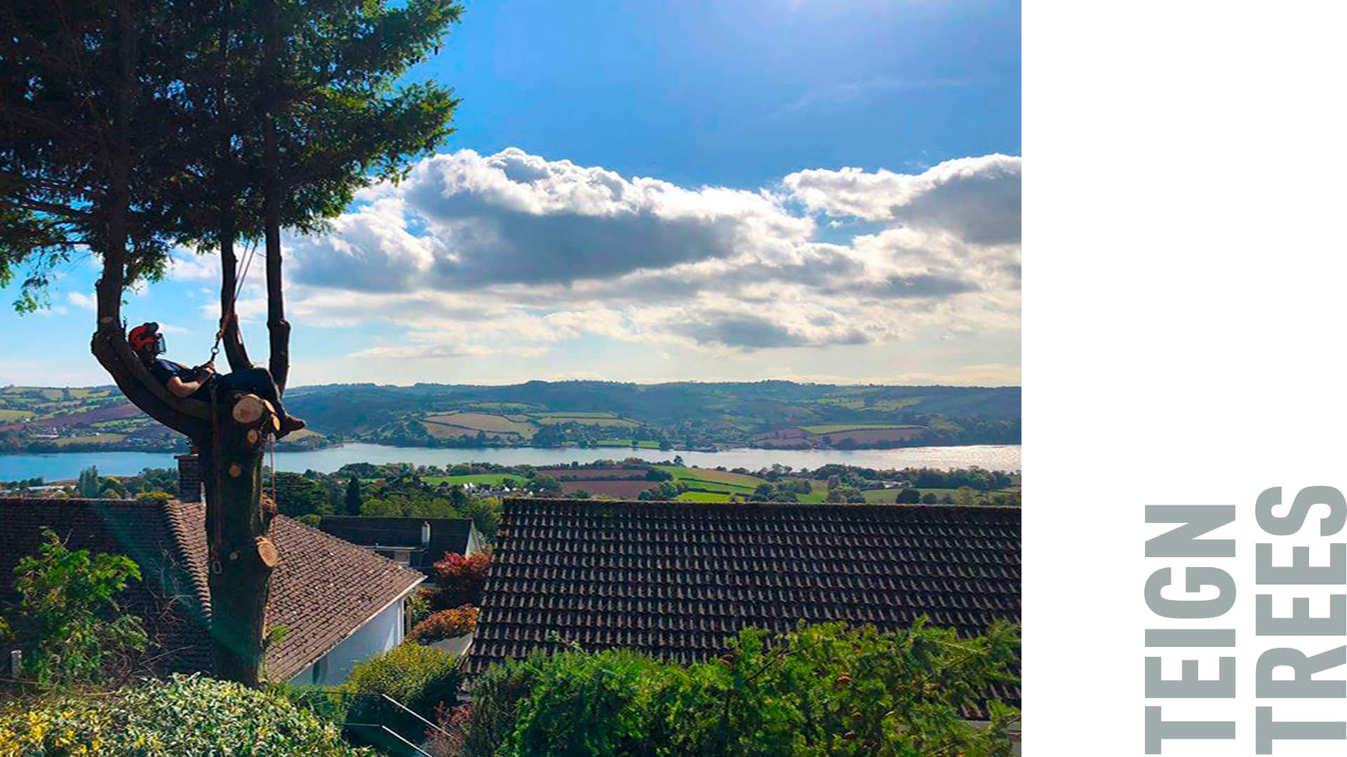 Arboricultural Association - #ARBatWork 2020 now open for VOTING