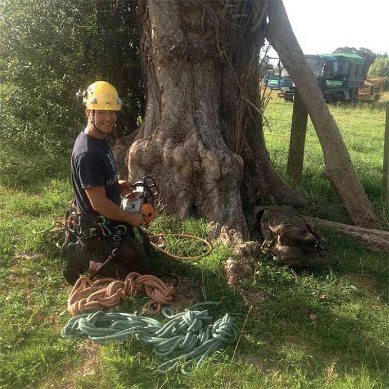 Arboricultural Association - Kickback – the thoughts of a victim’s father