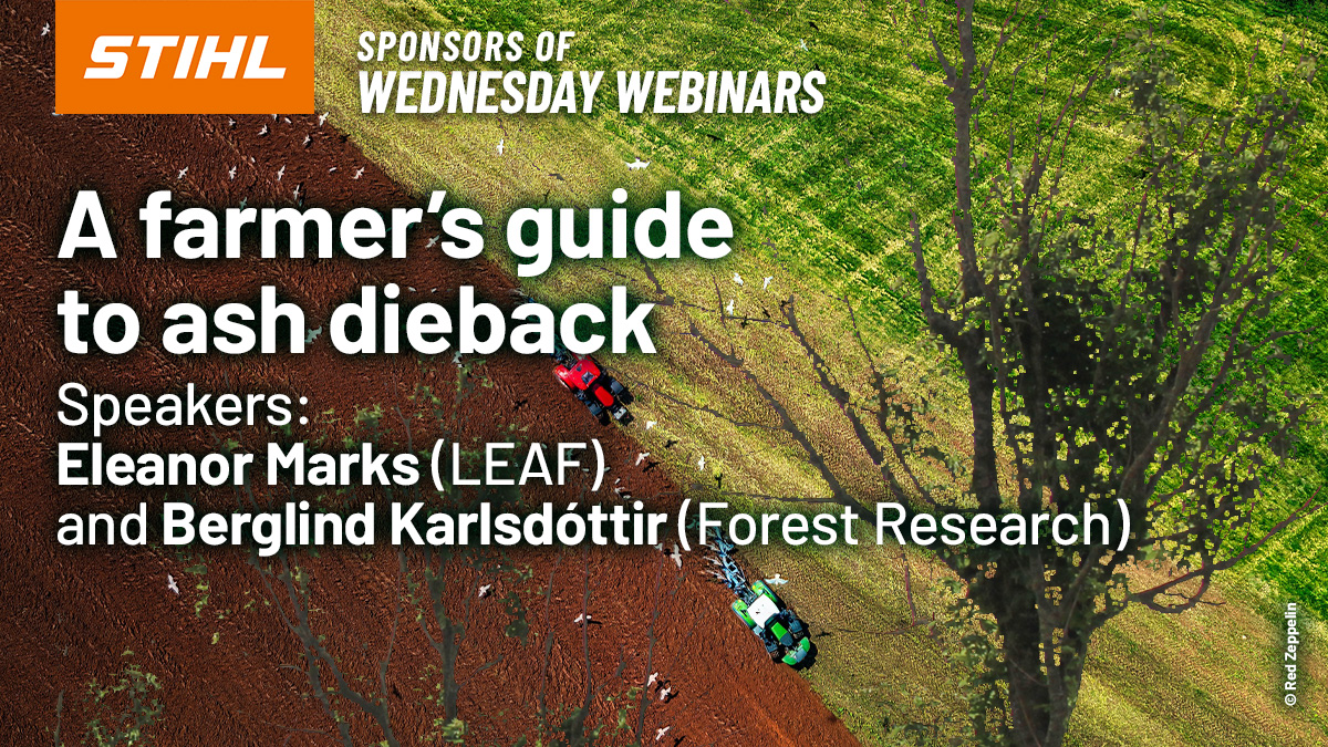 Arboricultural Association - A farmer’s guide to ash dieback