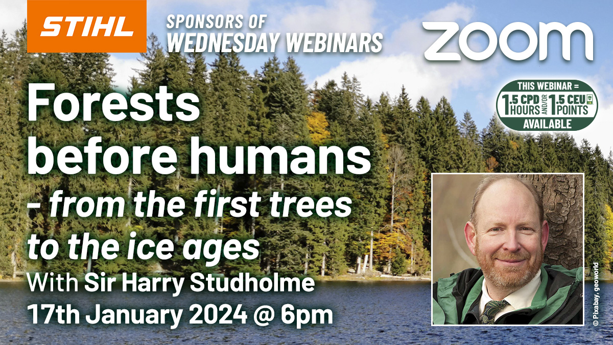 Arboricultural Association - Forests before humans - from the first ...