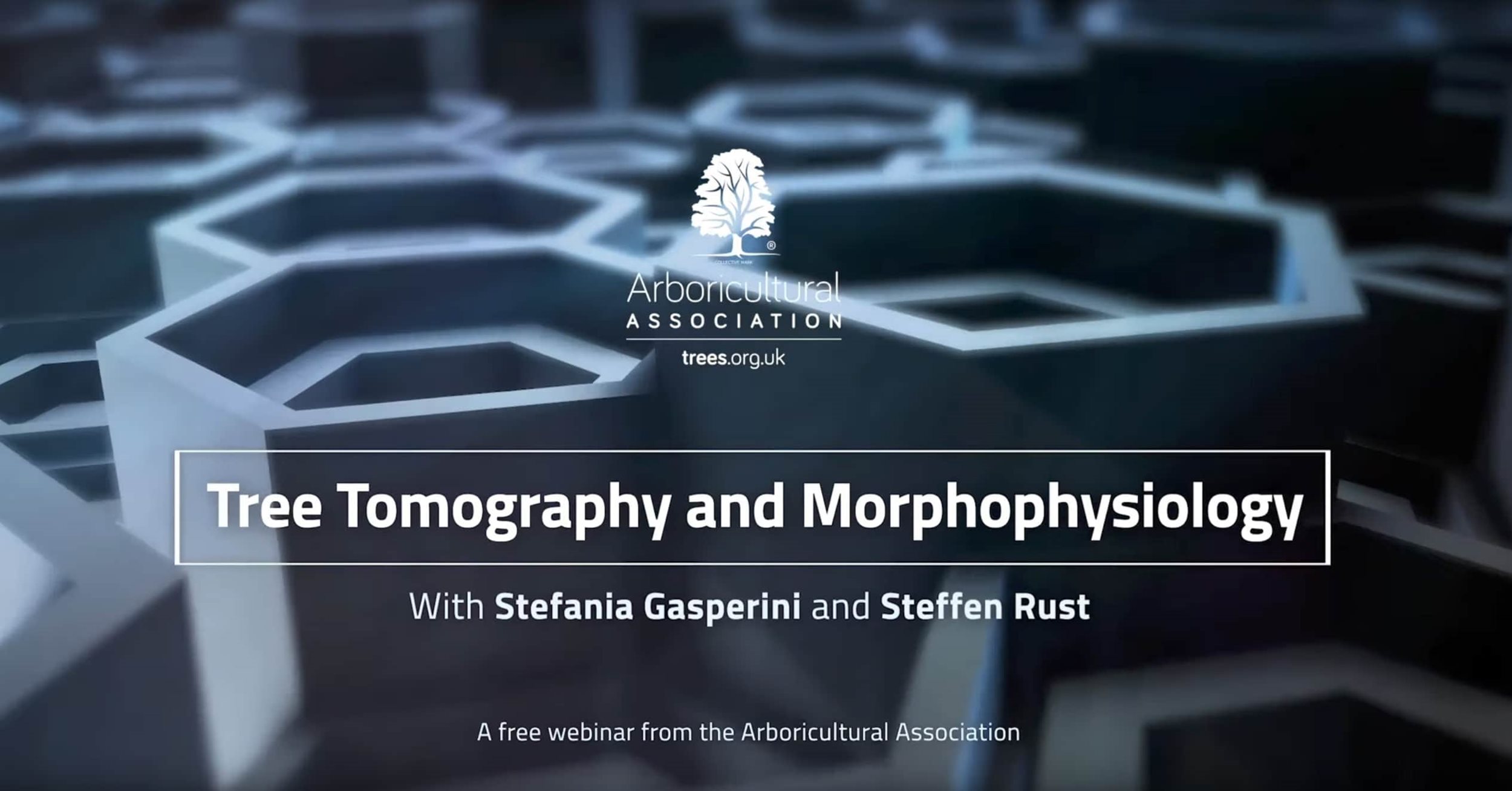 Arboricultural Association - Webinar Archive