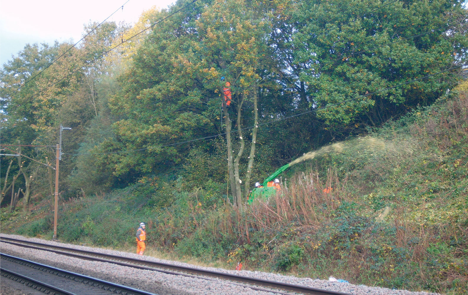 Arboricultural Association - Lantra launches new utility arb qualifications