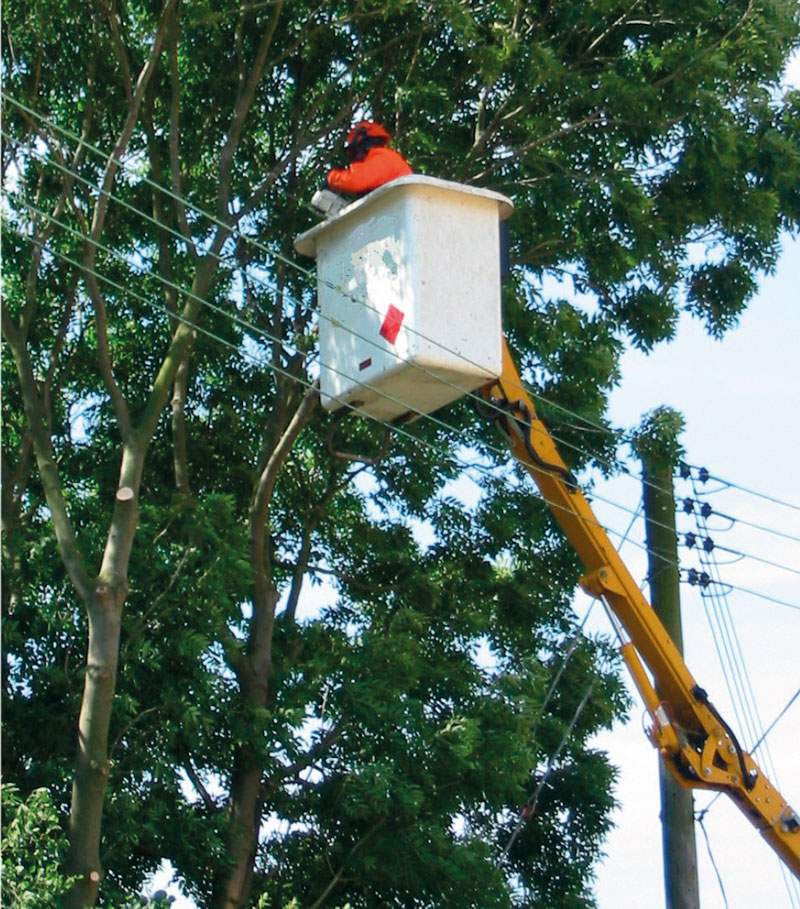 Arboricultural Association - Lantra launches new utility arb qualifications