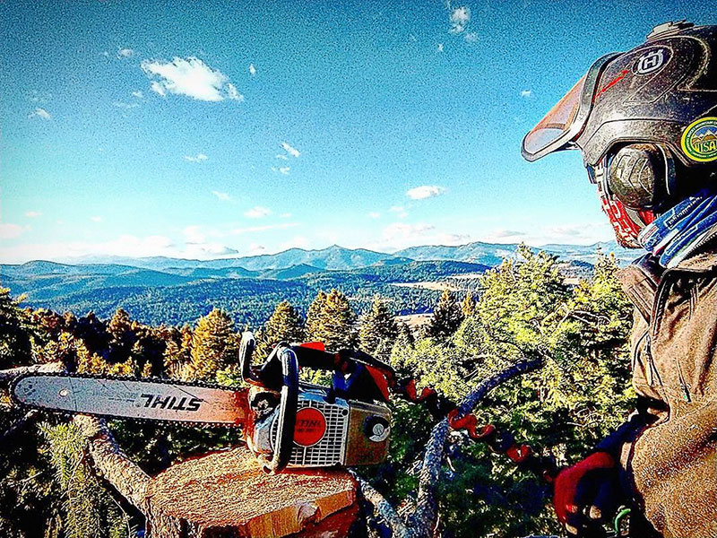 Arboricultural Association - ARB at Work Photo Contest 2018 Finalists